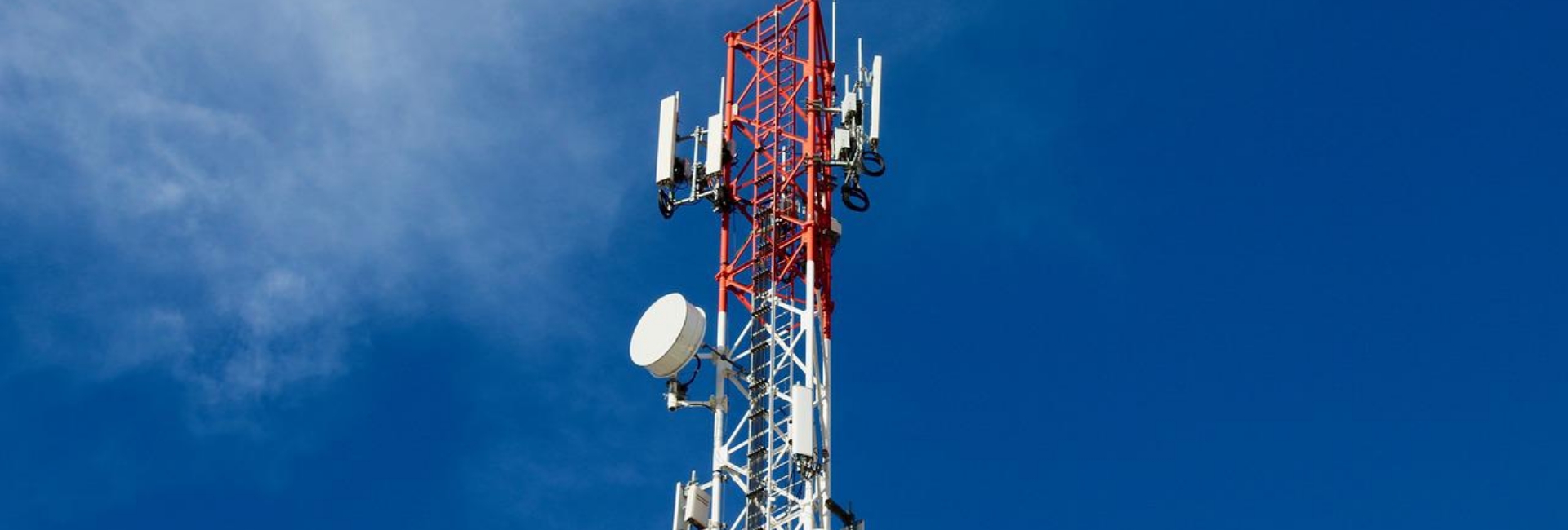 Case Studies – Nectar Infotel