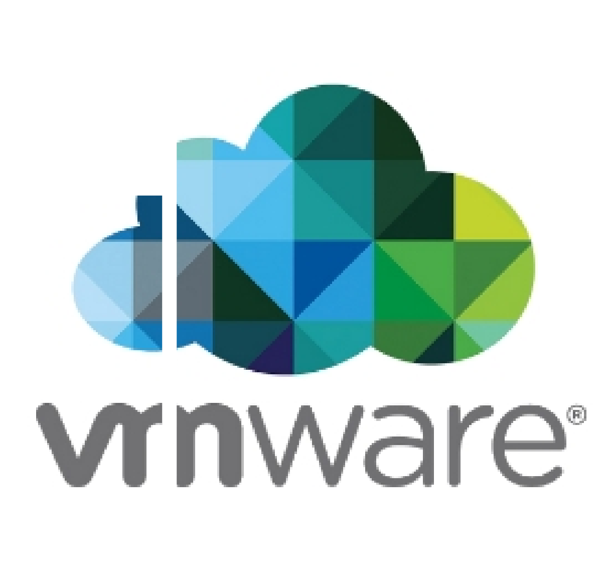 VMware Services - Nectar Infotel